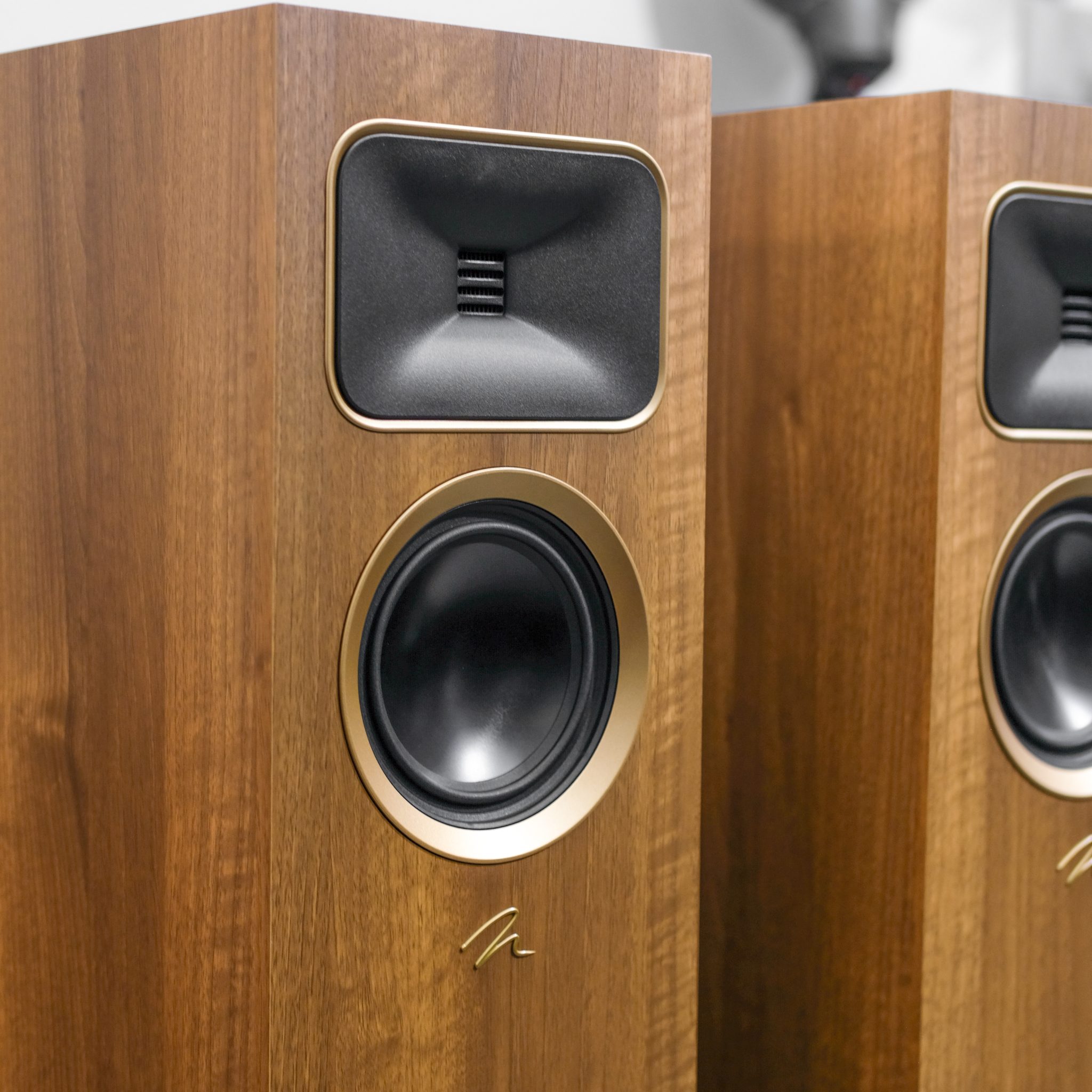 Martin Logan Foundation F2 - Audiocostruzioni | Vendita Online Hi-Fi ...